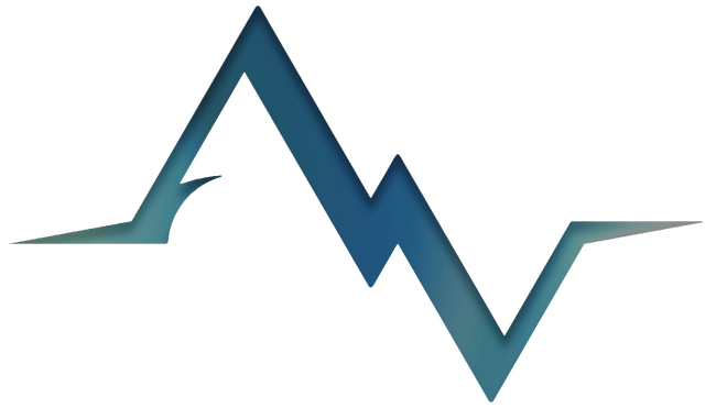 2021-2024 RAM 1500 TRX & 2025 RHO Center Console Molle Panels & Digita ...